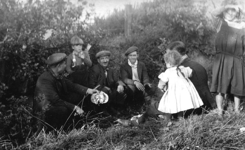 HOW TO COOK A HEDGEHOG - Delices de Provence